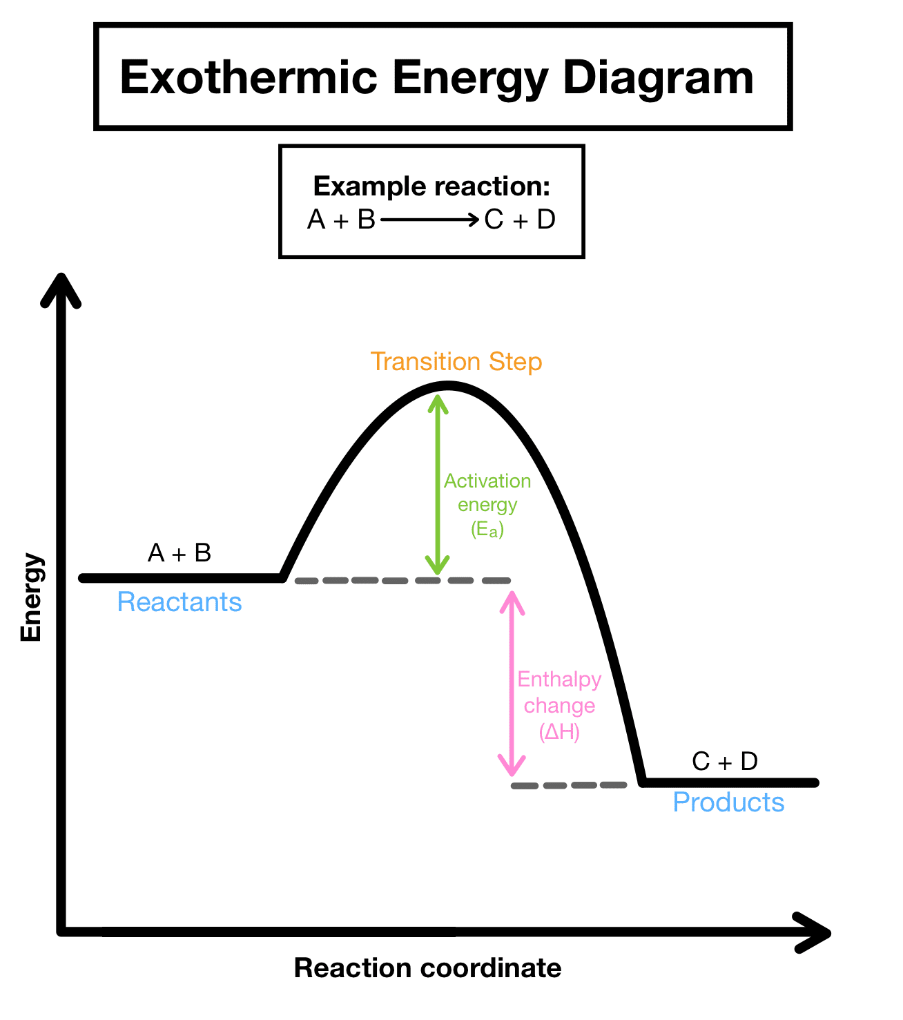 Master AP Chemistry Unit 6: Thermochemistry - Complete Study Guide 2025 ...