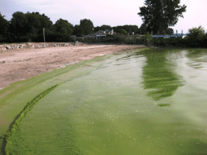 Mastering AP Environmental Science Unit 8: Aquatic and Terrestrial ...