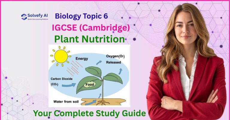 IGCSE (Cambridge) Biology Topic 6: Plant Nutrition | Your Complete ...